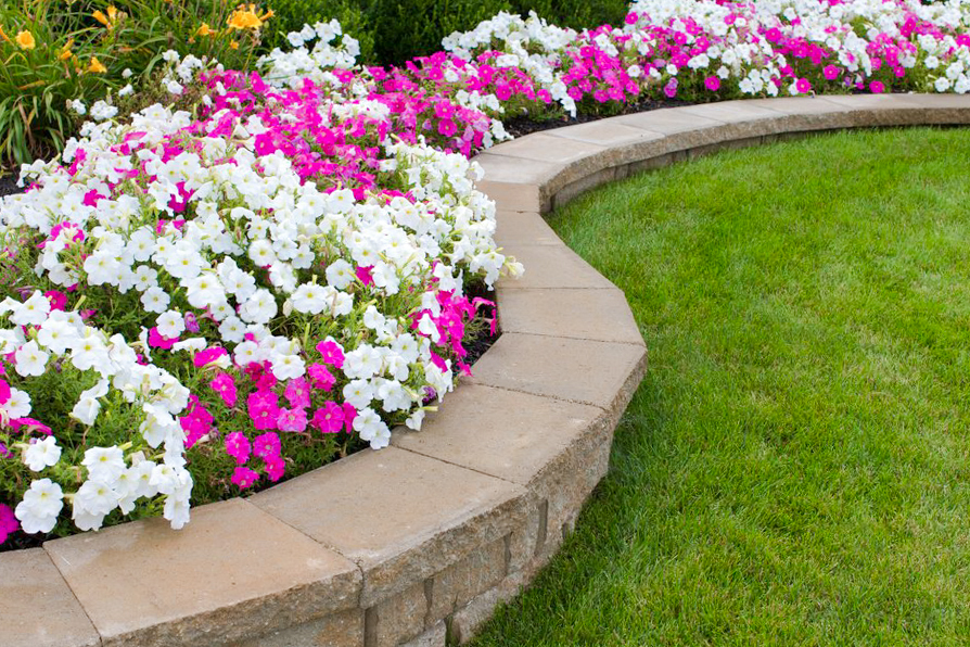 Bethesda Landscaping & Rockville Landscaper Services - Natures Friends
